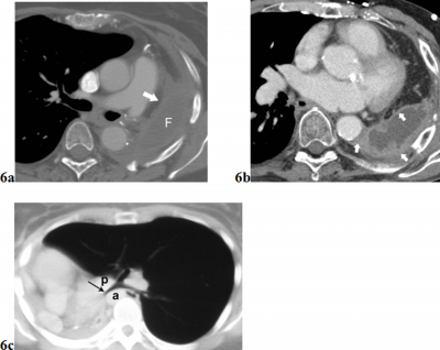 Internet Scientific Publications